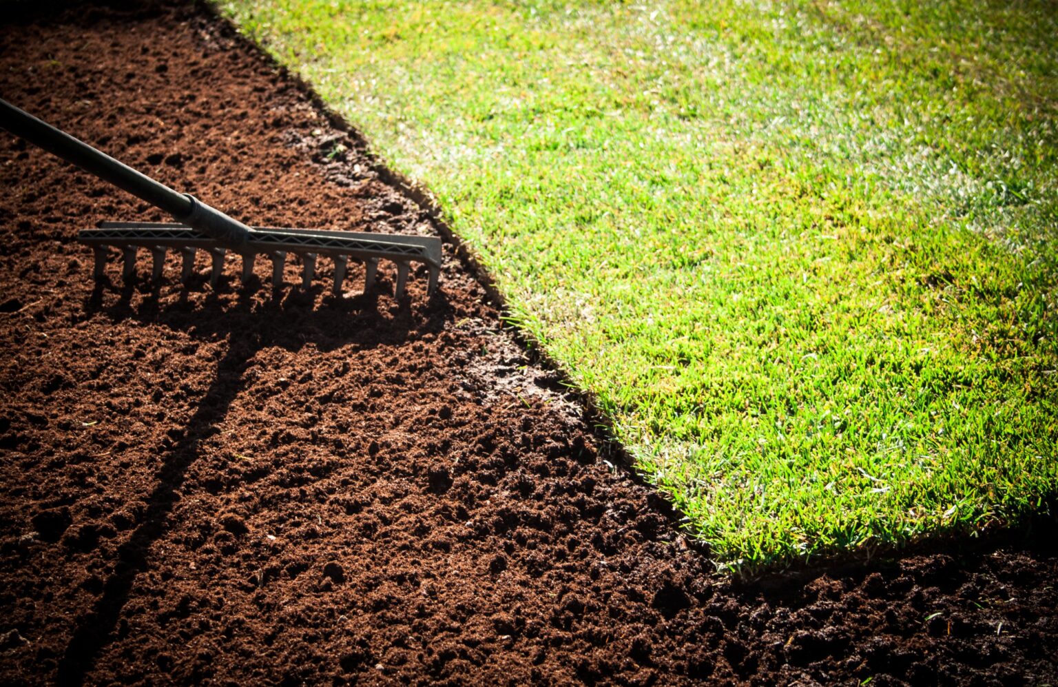 Should You Lay Sod in the Fall?